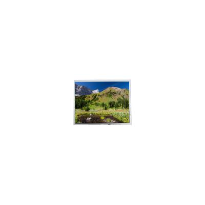 China ZV055FHM-A40-18P0 5.5 inch LCD screen Panel Display for sale