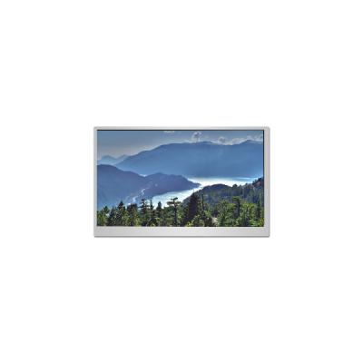 China Hot Sell 10.1 inch DJ101IA-07A 1000:1 262K LCD screen Display for sale