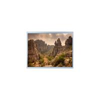 China DK123IA-01A 12.3 inch LCD screen for Outdoor High Brightness for sale