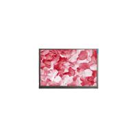 China 1200*1600 M121AW81 R1 11.8 inch 40 pins LCD screen in stock for sale