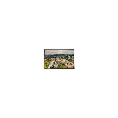 China A054HAX01.0 5.4 inch 1080*2160 LCD display FOR Handheld for sale