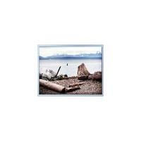 China P430HVN04.0 43.0 inch 1920*1080 LCD screen for Digital Signage for sale