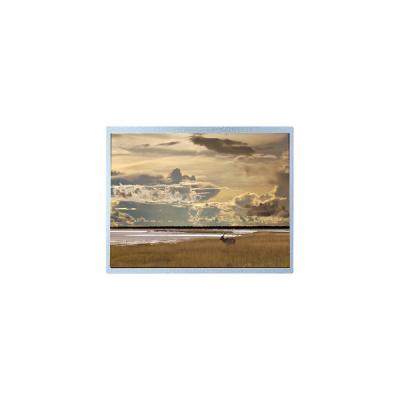 China High Quality 43.0 inch P430HVN06.1 1920*1080 LVDS LCD Screen for sale