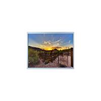 China P460HVN04.3 46.0 inch 1920*1080 LCD Screen for Outdoor High Brightness for sale