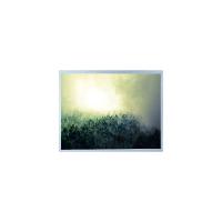 China 3840*2160 P550QVF05.1 55.0 inch 51 pins LCD Screen in stock for sale