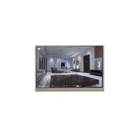 China New 10.1inch 800*1280 PG101BS01-1 LCD Screen for Pad Tablet for sale