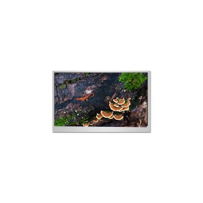 China in stock 23.8 inch PN238CT02-1 60Hz LCD Panel Display for sale