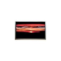 China PT400CT01-1 40.0 inch LCD screen Display for Digital Signage for sale