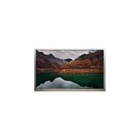 China Original 40.0 inch PT400CT02-1 68 pins LCD Display screen for sale