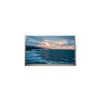 China PT430GT01-3 43.0 inch 3840*2160 60Hz LCD screen lcd Panel for sale