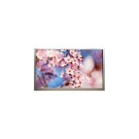 China Original 3840*2160 PT430GT01-8 43.0 inch LCD screen Display for sale