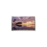 China new 50.0 inch PT500GT02-5 3840*2160 16.7M  LCD screen Panel for sale