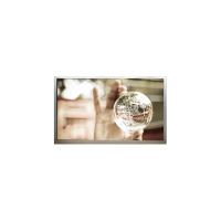 China SN238CS03-4 23.8 inch 1920*1080 LVDS LCD Screen Parts for sale