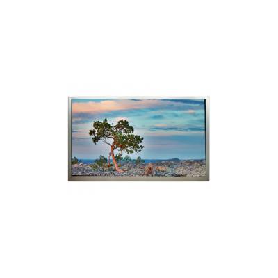 China SN245CT01-1 24.5 inch 1920*1080 3500:1 LCD Display Screen for sale