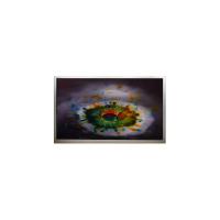 China 2560*1440 32.0 inch SN315EU01-1 LCD screen Parts for sale
