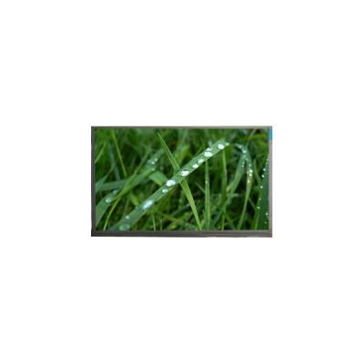 China 10.1 inch LCD screen N101BGE-L31 262K LCD monitor for sale