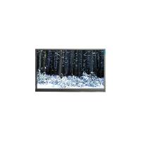 China N116BCN-EA1 1366*768 11.6 inch LCD Screen FOR Laptop for sale