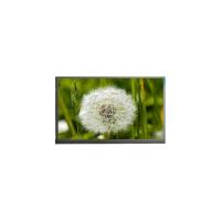 China High Quality 2560*1600 13.3 inch N133GCA-GQ1 16.7M LCD Screen for sale