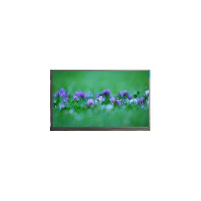 China 13.3 inch N133HCE-EBA 220 cd/m2 262K LCD Laptop Screen for sale