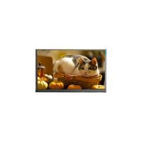 China N140BGE-P23 14.0 inch 60Hz 262K LCD Panel Display Screen for sale