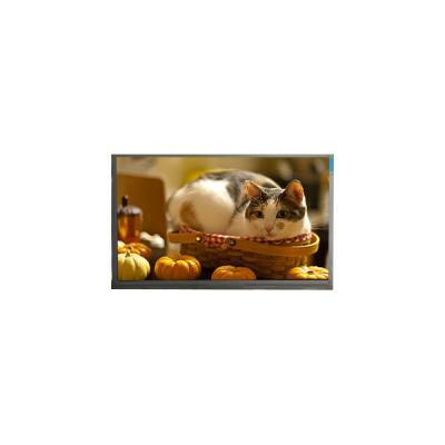 China N140BGE-P23 14.0 inch 60Hz 262K LCD Panel Display Screen for sale