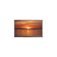 China N140HCA-EAE 1920*1080 14.0 inch 300 cd/m2 LCD Panel Module for sale