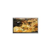 China Original 14.0 inch N140HCN-E5B 1920*1080 LCD Touch Screen for sale