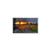 China Hot Sell 1920*1080 N140HCQ-G51 14.0 inch WLED LCD Monitor for sale
