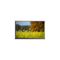 China 14.0 inch N140HGE-EBA 1920*1080 eDP LCD Screen high quality for sale