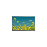 China in stock 14.0 inch N140HGE-EPA 1920*1080 LCD Laptop Screen for sale