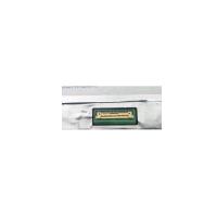 China N156BGA-E53 15.6 inch 1366*768 30 pins LCD Screen Display for sale