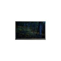 China ORIGINAL 15.6 inch N156BGE-P21 1366*768 40 pins LCD Screen for sale