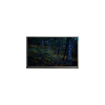 China ORIGINAL 15.6 inch N156BGE-P21 1366*768 40 pins LCD Screen for sale
