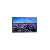 China 1920*1080 N156HGE-DB1 15.6 inch 262K 60Hz LCD Screen Panel for sale