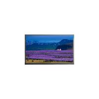 China N156HGE-EA1 1920*1080 15.6 inch eDP LCD Screen FOR Laptop for sale