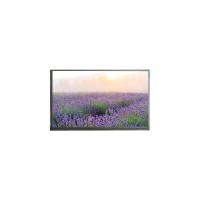 China Hot Sell 15.6 inch N156HGE-EBL 1920*1080 220 cd/m2 LCD Panel for sale