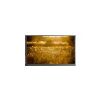 China High Quality 15.6 inch N156HGE-PB1 1920*1080 262K LCD Screen for sale