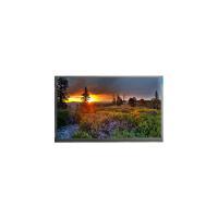 China in stock 2560*1440 N156KME-GNA 15.6 inch LCD Screen Module for sale