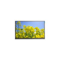 China 2560*1600 16.0 inch N160GME-GLB 500 cd/m2 LCD Screen Original for sale
