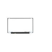 China N173FGA-E44 17.3 inch 30 pins LCD Screen with Laptop for sale
