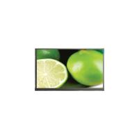 China P060DDZ-ZZ1 6.0 inch 800*1280 LCD Screen with Mobile Phone for sale