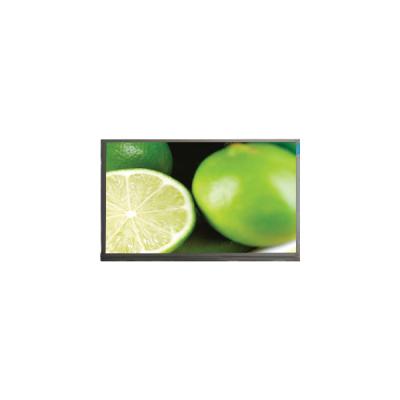 China P060DDZ-ZZ1 6.0 inch 800*1280 LCD Screen with Mobile Phone for sale