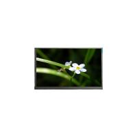 China original 600*1024 P070BAG-CM1 7.0 inch 500 cd/m2 LCD Screen for sale