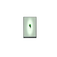 China NEW 8.0 inch P080DDD-AB2 800*1280 WLED LCD Panel for sale