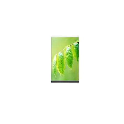 China P080DDD-AB4 8.0 inch 800*1280 350 cd/m2 LCD Panel Display for sale