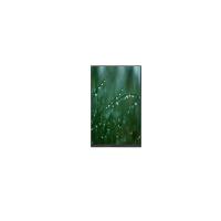 China 8.0 inch P080DZD-DB6 800*1280 Touch LCD Panel in stock for sale