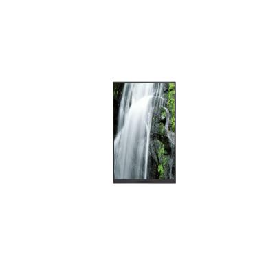 China New 8.0 inch P080KDZ-3Z1 1200*1920 LCD Panel  Screen Display for sale