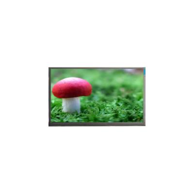 China Original 1200*1920 8.0 inch P080LDN-DB2 60Hz LCD Panel for sale