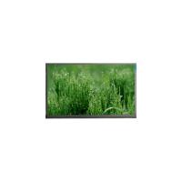 China 8.0 inch 1200*1920 P080LDN-DB3 WLED LCD Panel Module for sale