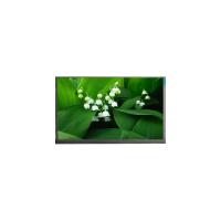 China Hot Sell 8.0 inch P080LDN-DB4 1200*1920 290 cd/m2 LCD Monitor for sale